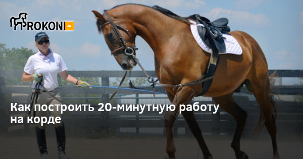 Статьи, Как построить 20-минутную работу на корде | Prokoni.ru