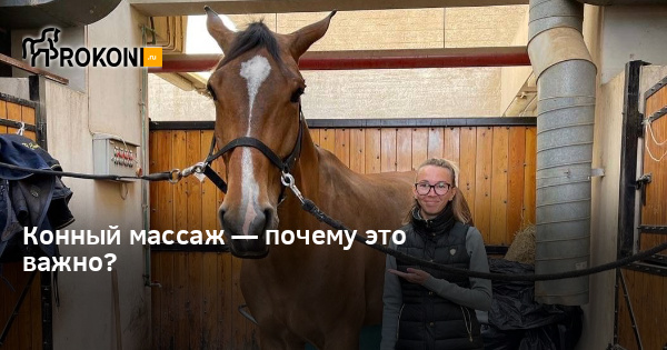 Статьи, Конный массаж — почему это важно? | Prokoni.ru