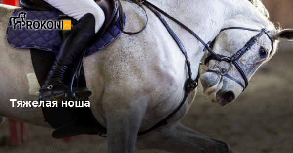 Статьи, Тяжелая ноша | Prokoni.ru