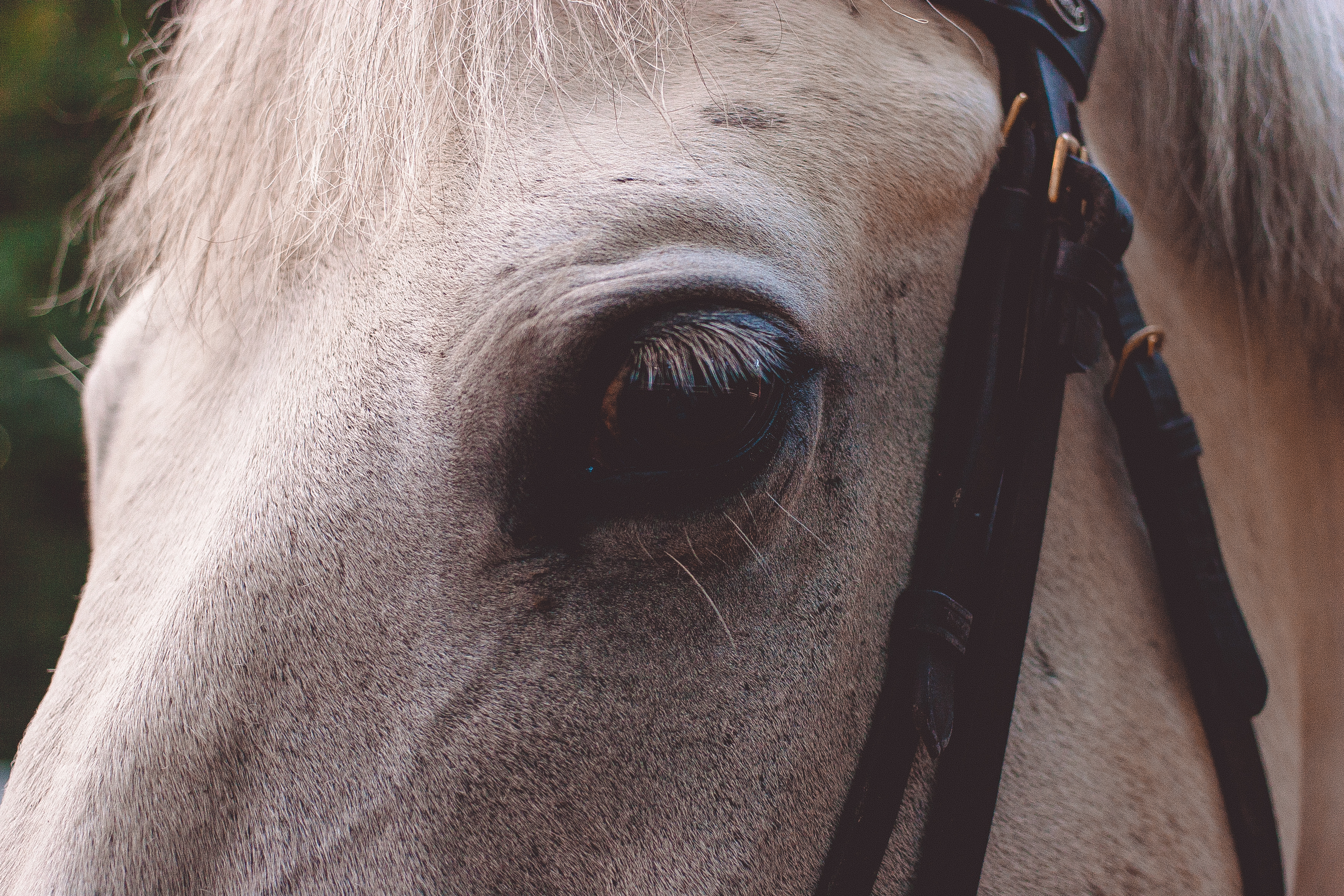 Работа, Вакансия коновод, будни, пятидневка,Мск | Prokoni.ru