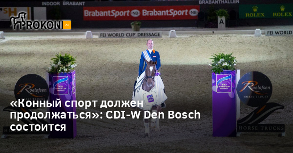 «Конный спорт должен продолжаться»: CDI-W Den Bosch состоится | Prokoni.ru