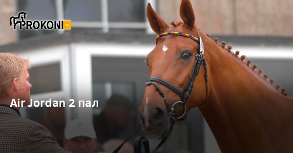 Air Jordan 2 пал | Prokoni.ru