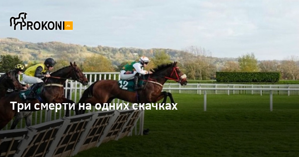 Три смерти на одних скачках | Prokoni.ru