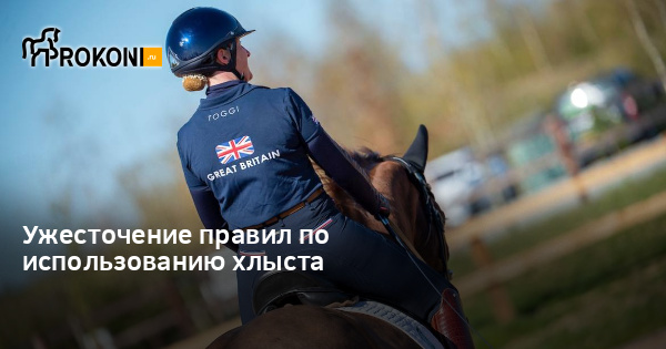 Ужесточение правил по использованию хлыста | Prokoni.ru