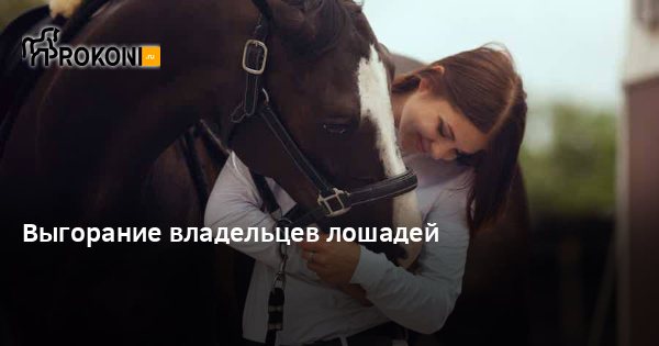 Выгорание владельцев лошадей | Prokoni.ru