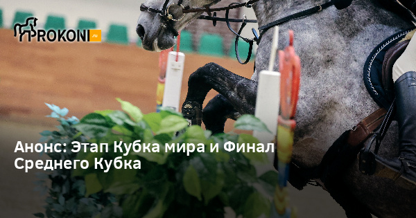 Анонс: Этап Кубка мира и Финал Среднего Кубка | Prokoni.ru