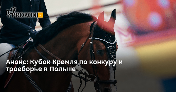 Анонс: Кубок Кремля по конкуру и троеборье в Польше | Prokoni.ru