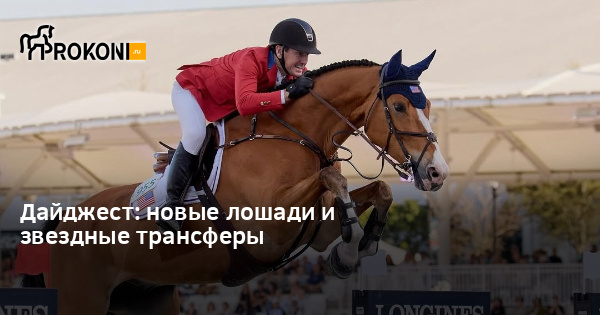 Дайджест: новые лошади и звездные трансферы | Prokoni.ru