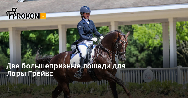 Две большепризные лошади для Лоры Грейвс | Prokoni.ru