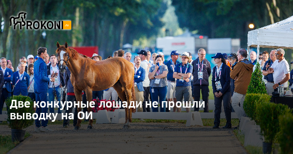 Две конкурные лошади не прошли выводку на ОИ | Prokoni.ru