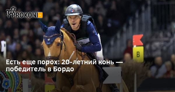 Есть еще порох: 20-летний конь — победитель в Бордо | Prokoni.ru