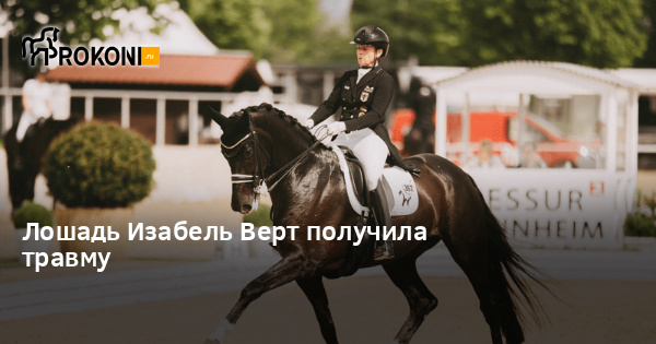 Лошадь Изабель Верт получила травму | Prokoni.ru