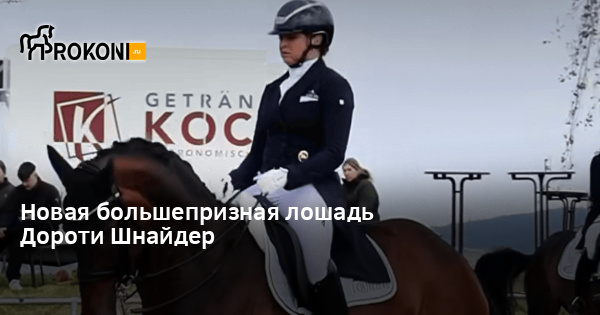 Новая большепризная лошадь Дороти Шнайдер | Prokoni.ru
