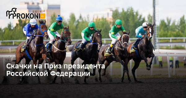 Скачки на Приз президента Российской Федерации | Prokoni.ru