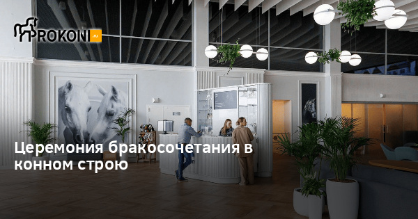 Церемония бракосочетания в конном строю | Prokoni.ru