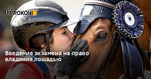 Введение экзамена на право владения лошадью | Prokoni.ru