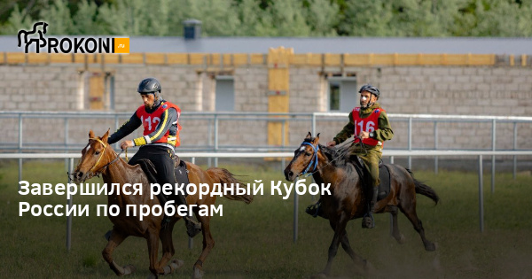 Завершился рекордный Кубок России по пробегам | Prokoni.ru